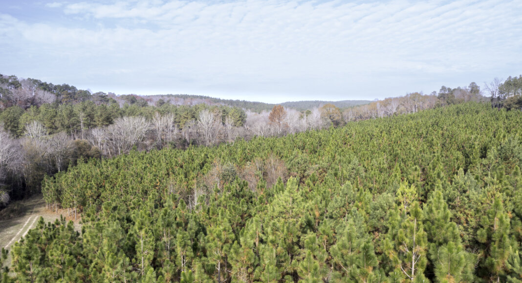 Timber is big business in Alabama