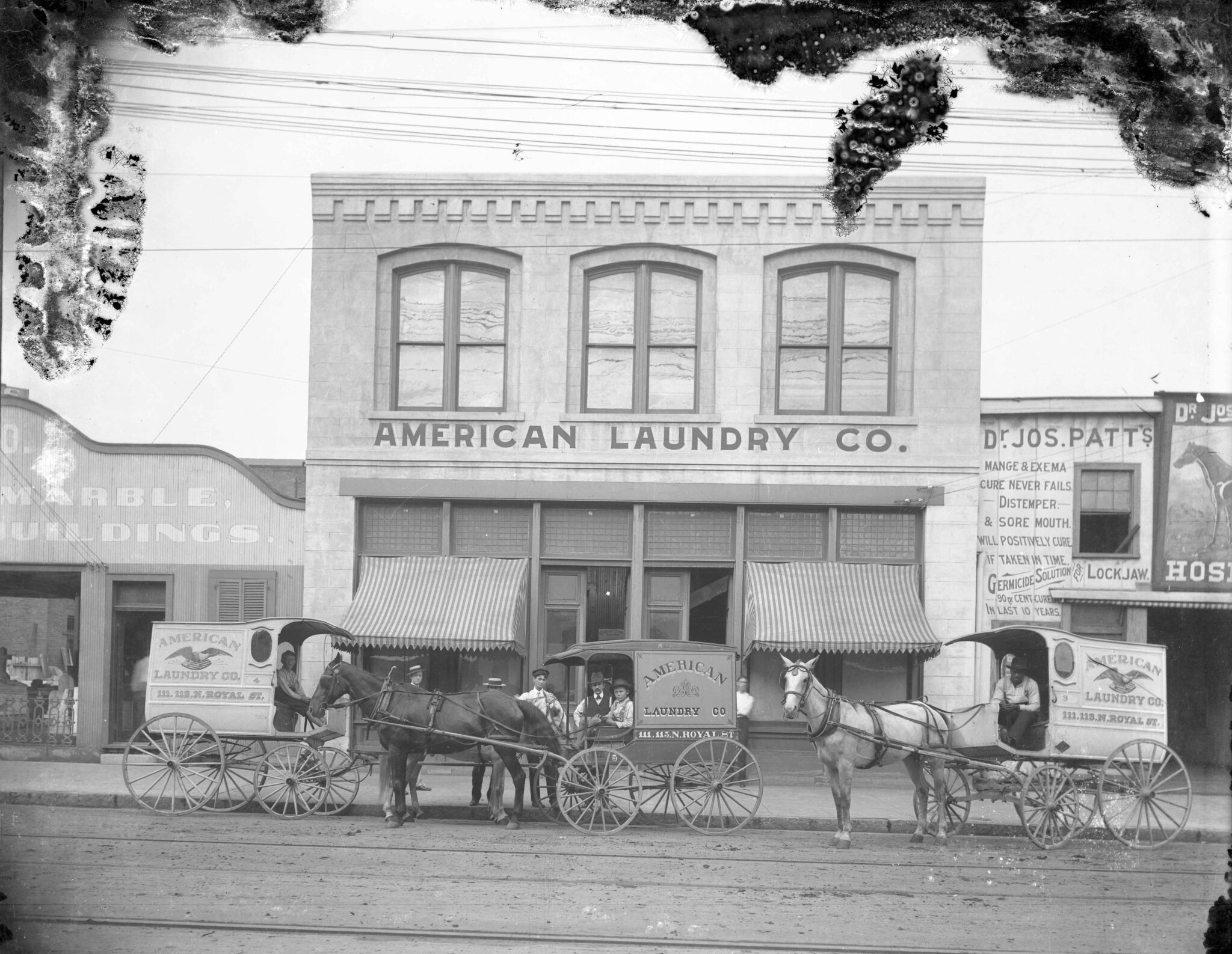 Retrospect: Renowned veterinary surgeon Peter Joseph Patt