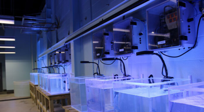 Dauphin Island Sea Lab opens advanced research facility