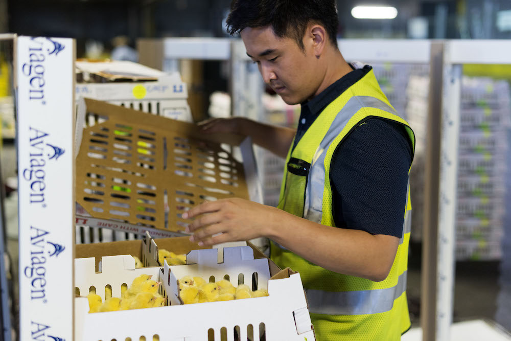 Export Alabama helps businesses navigate the world of international trade