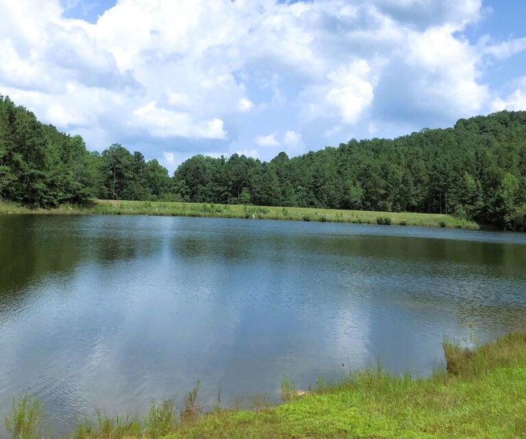 Spotlight: Calhoun & Talladega counties