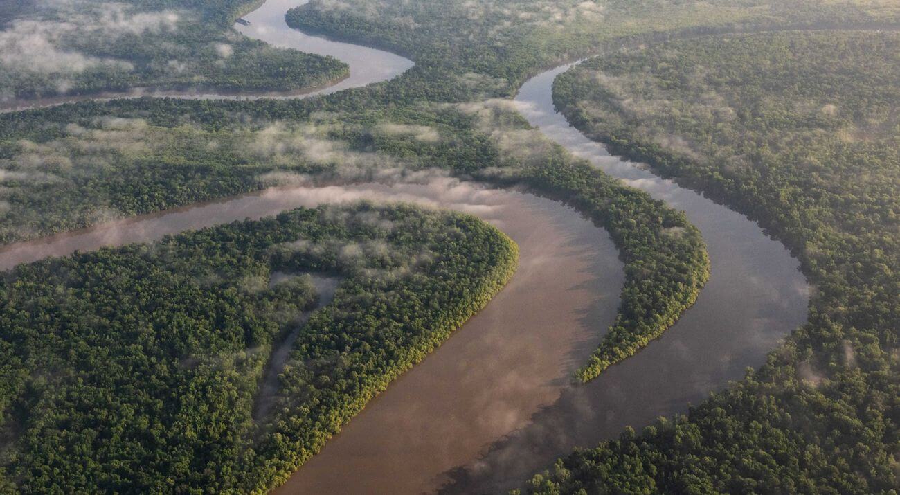 Mobile-Tensaw Delta preserve named after E.O. Wilson