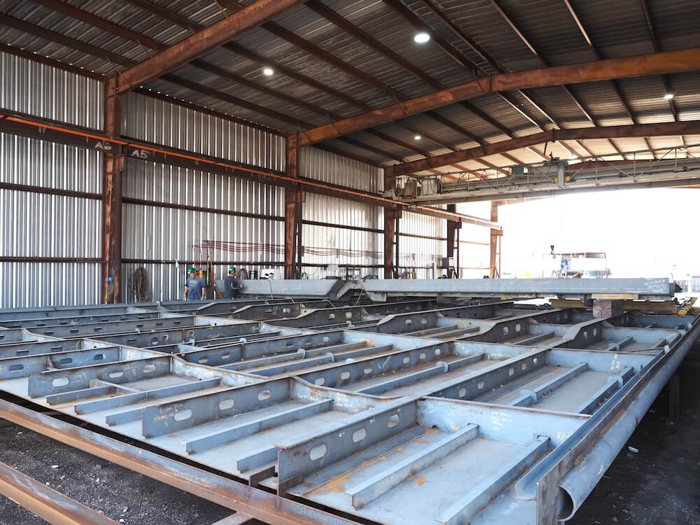 Birdon grows on the Bayou