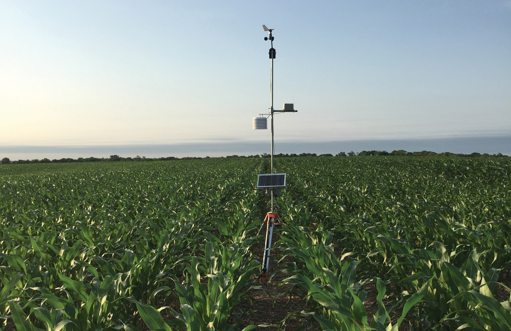 Is Irrigation Making Rain Clouds?