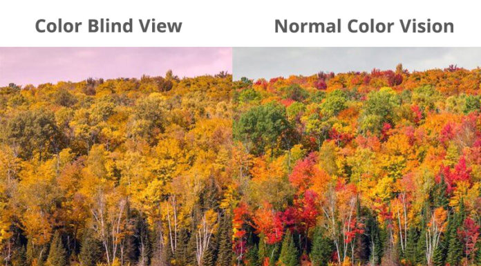 SeeCoast Introduces Scenic Viewers Adapted for Color Blindness