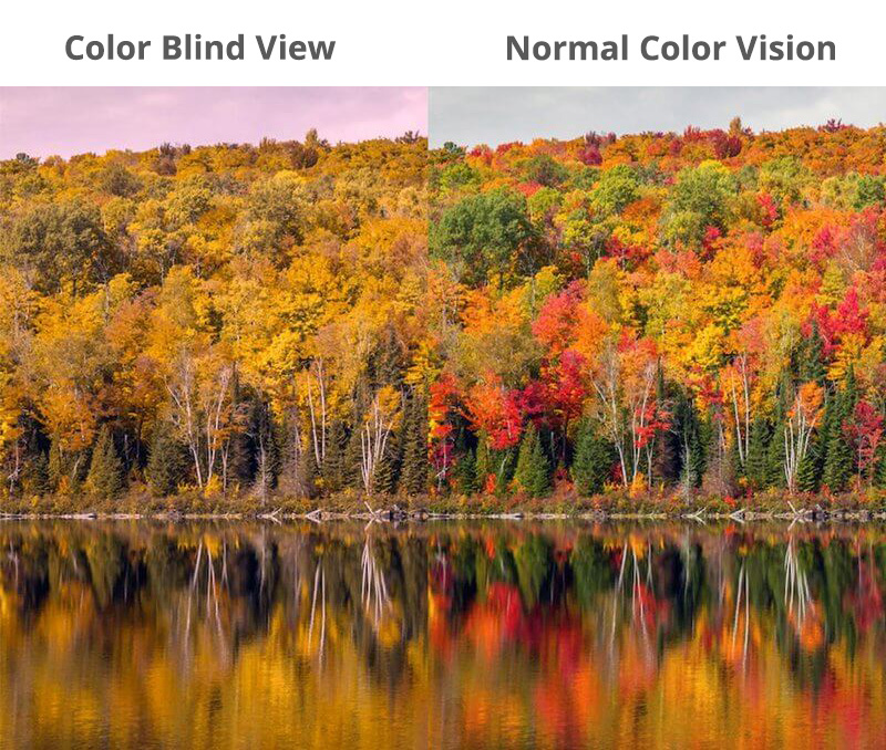 SeeCoast Introduces Scenic Viewers Adapted for Color Blindness