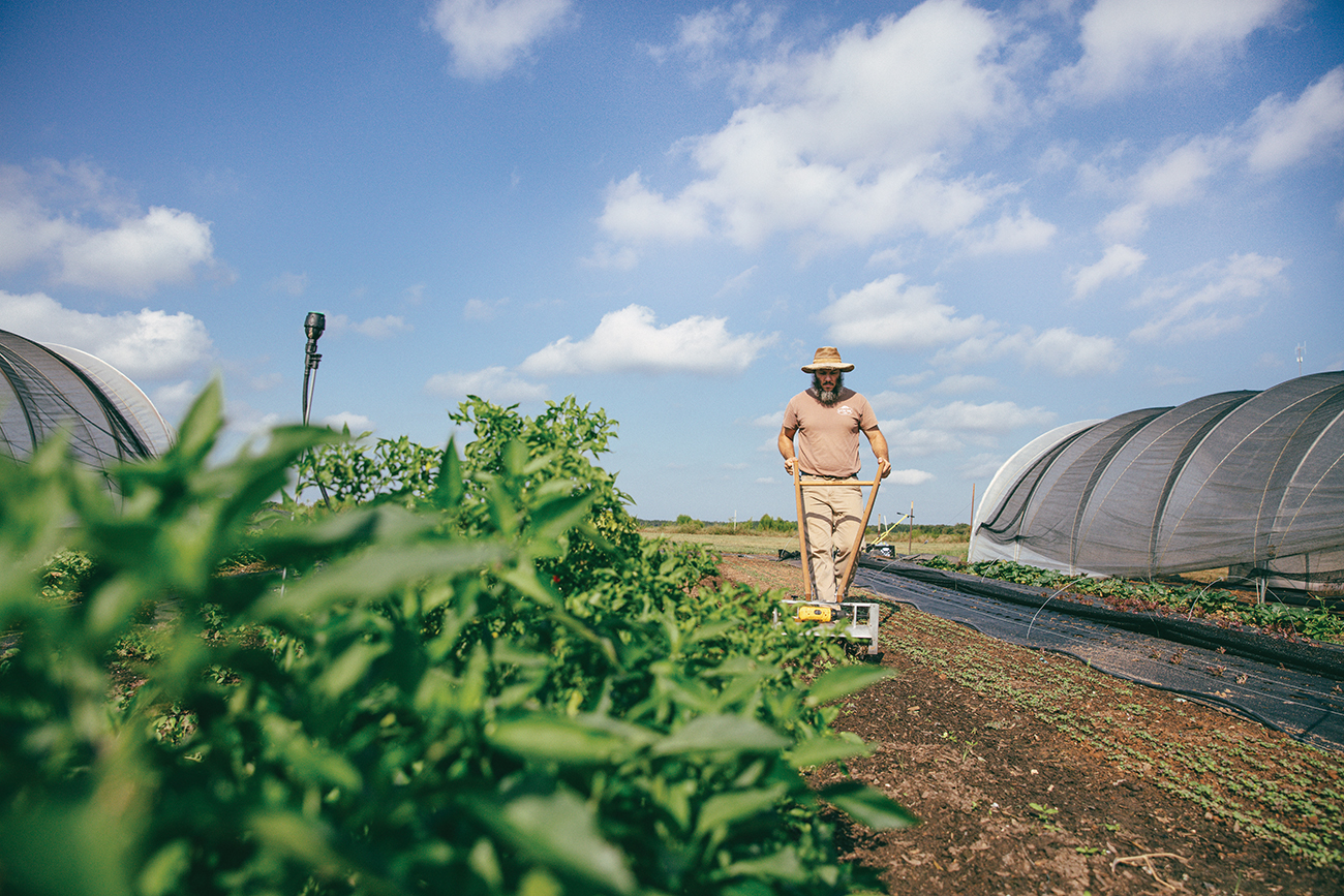 How it Works: Local Food Farming