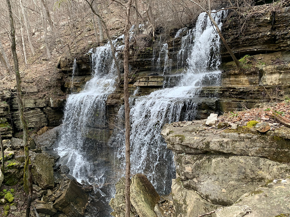 Land Trust Opens 8th Nature Preserve in North Alabama