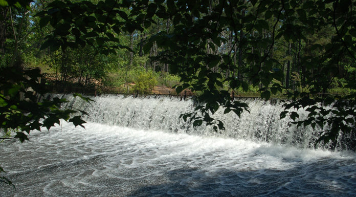 New Way of Marketing Works for Chambers County