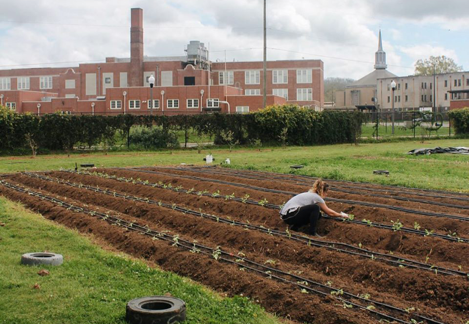 Jones Valley Teaching Farm Takes its Lessons Home