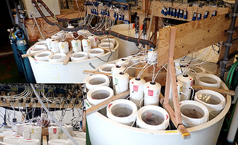 Seeking Answers at the Bottom of the World